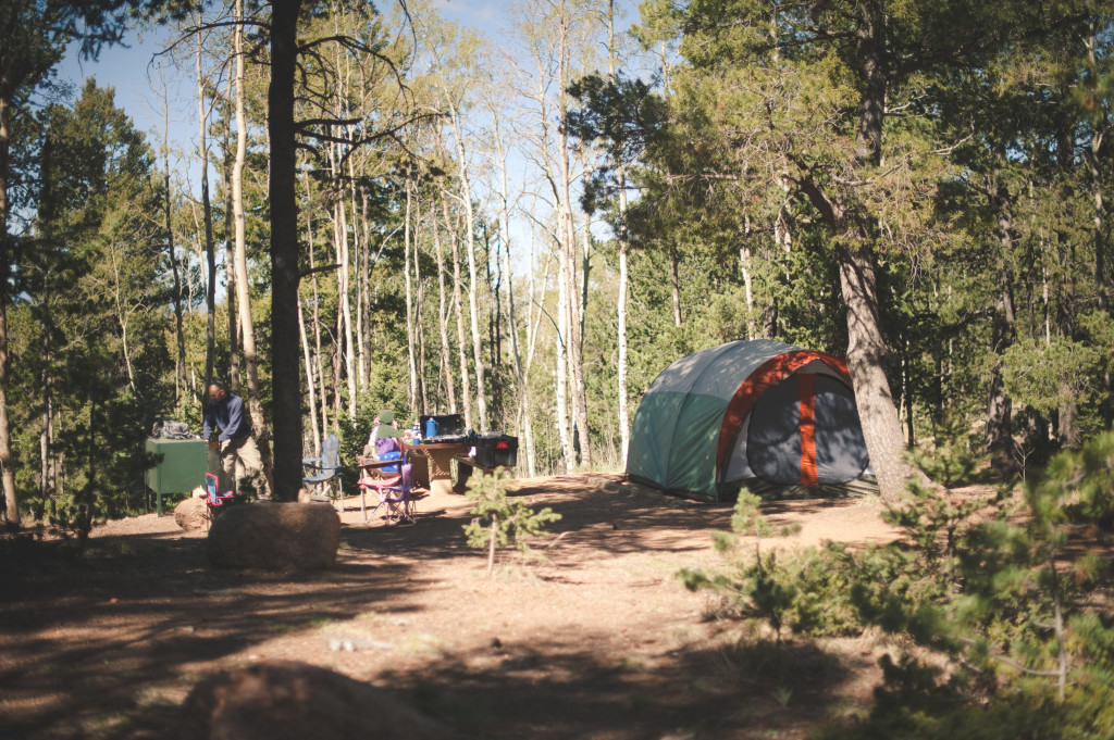 Mueller State Park Campsite Photos